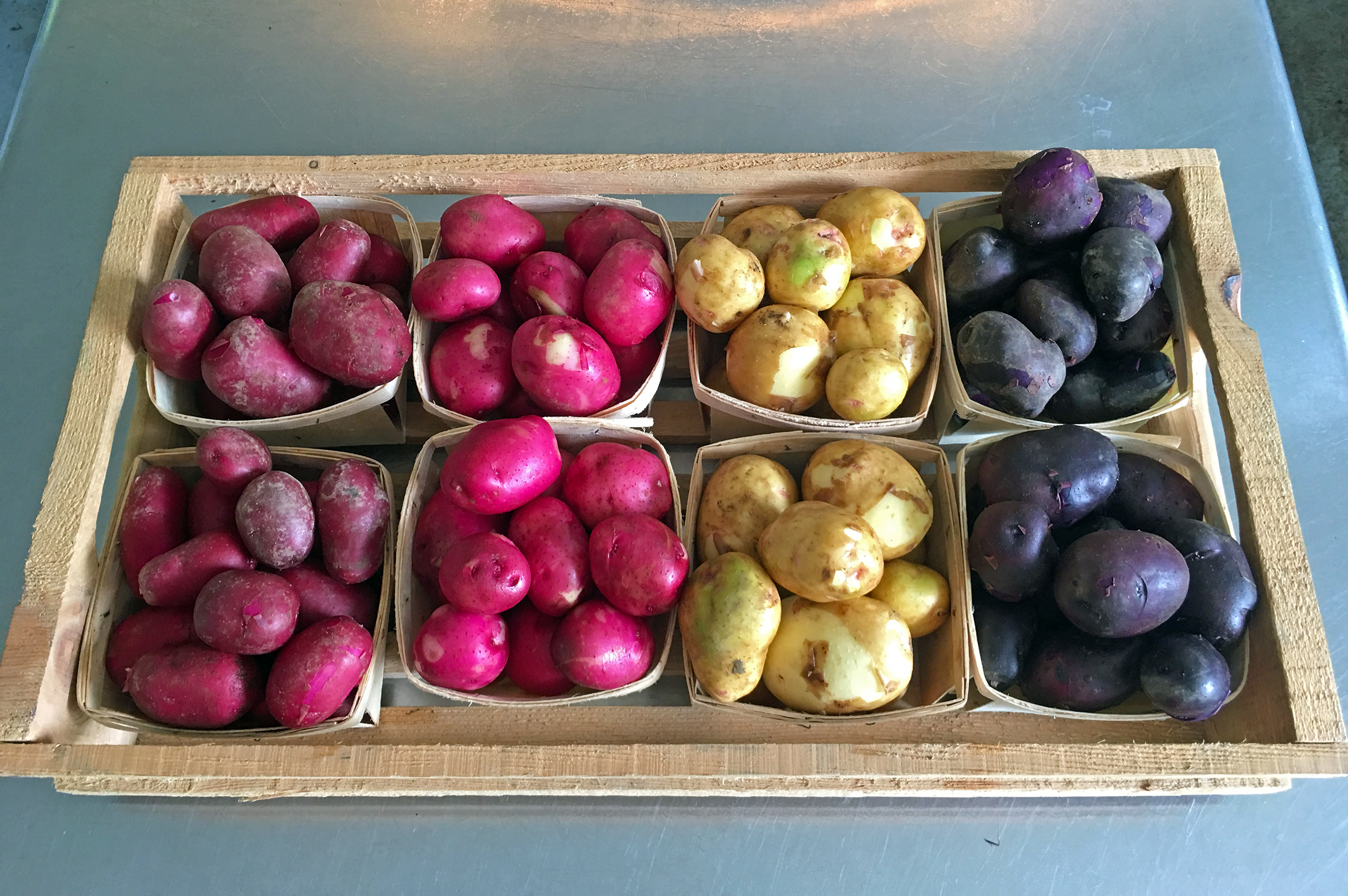 IMG_6545 4 Kinds of Potatoes – Hospitality Spring Farm